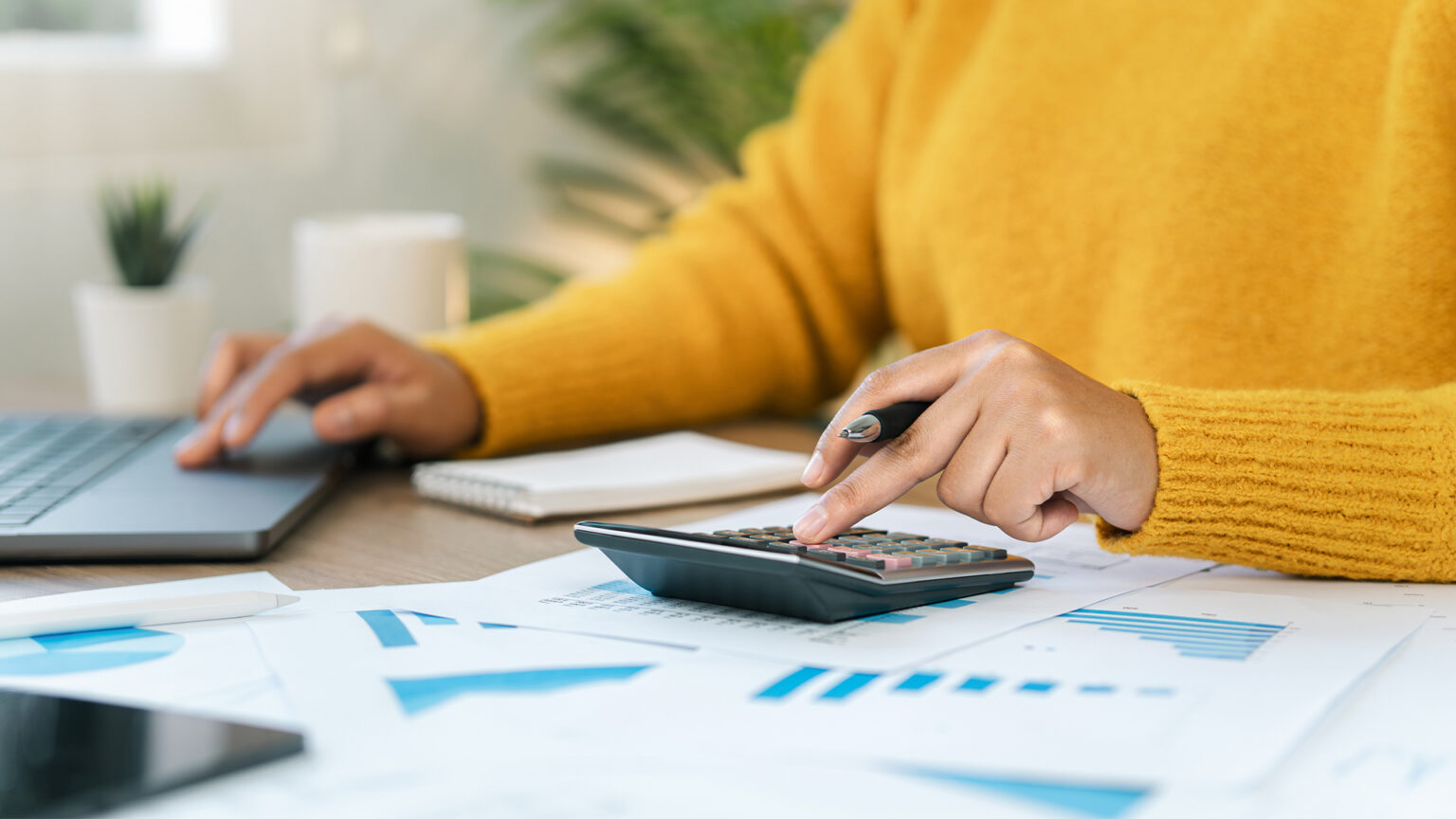 George Pelgrim: Sint Maarten Economic Development Strategies - Wealth ...